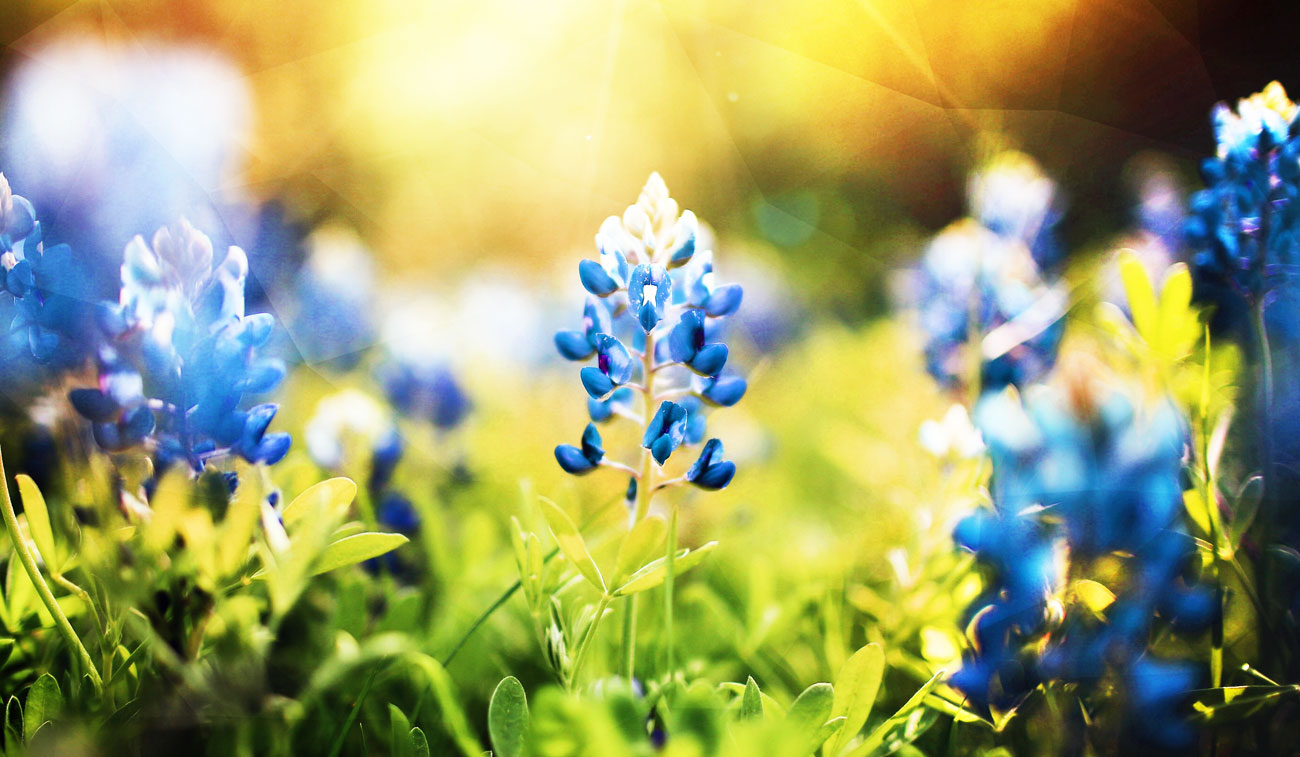 Hope Hearing & Tinnitus Center | Southlake Dallas Fort Worth